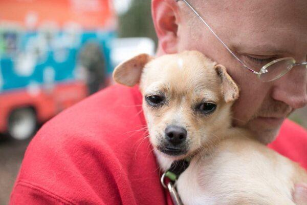 Get Involved - Seattle Humane