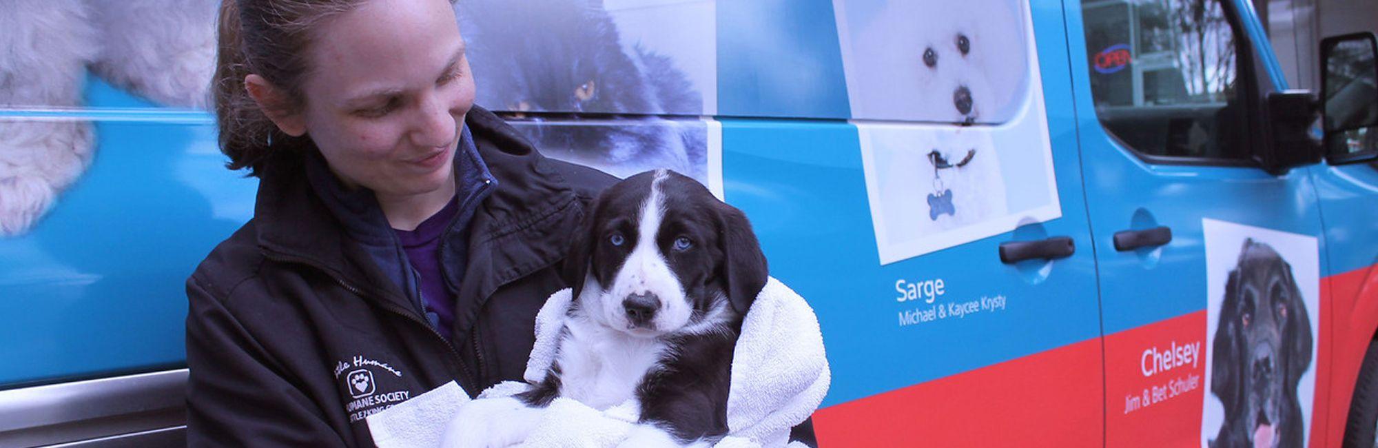 Get Involved - Seattle Humane