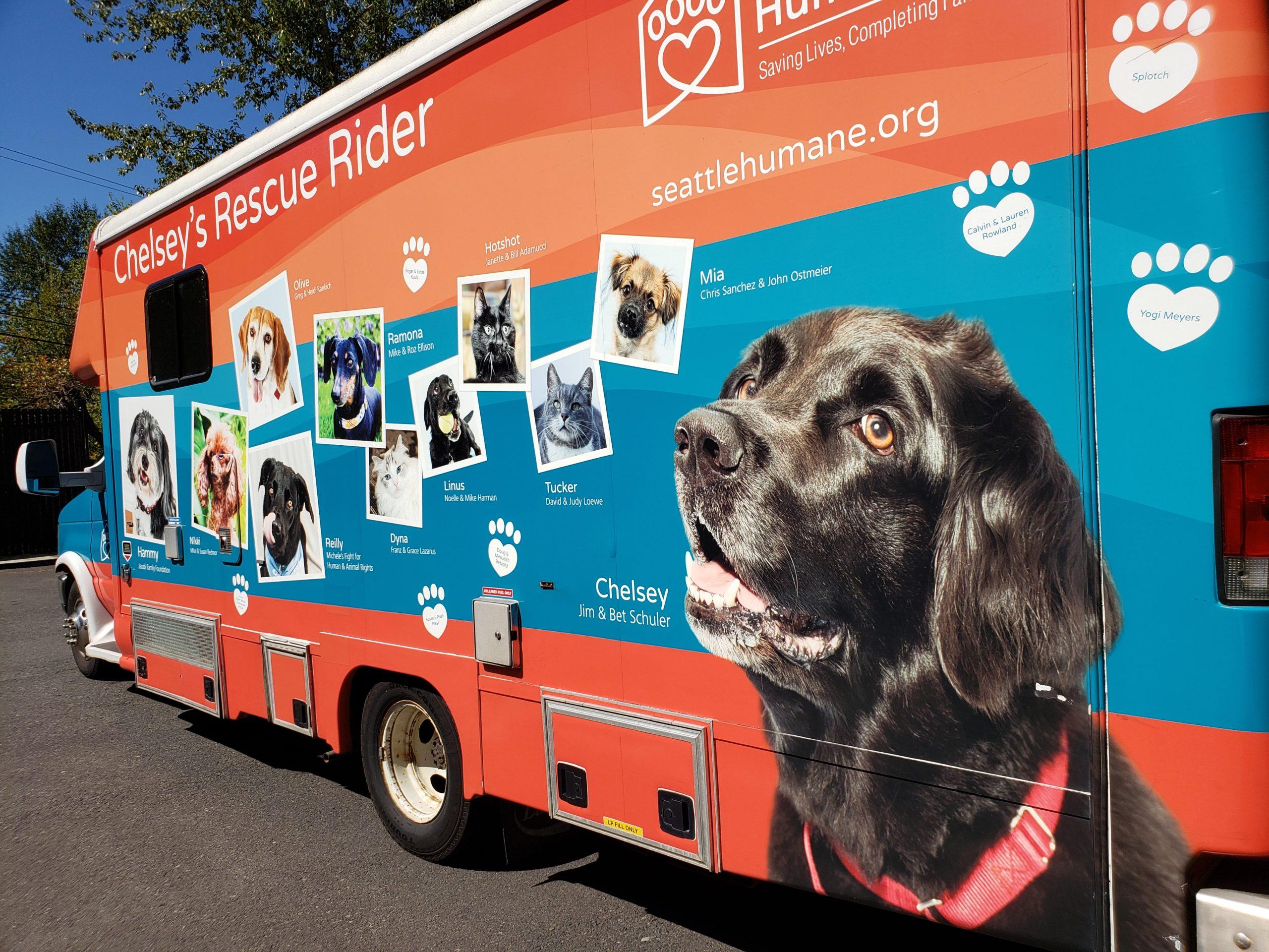 COVID-19 and our Animal Population - Seattle Humane