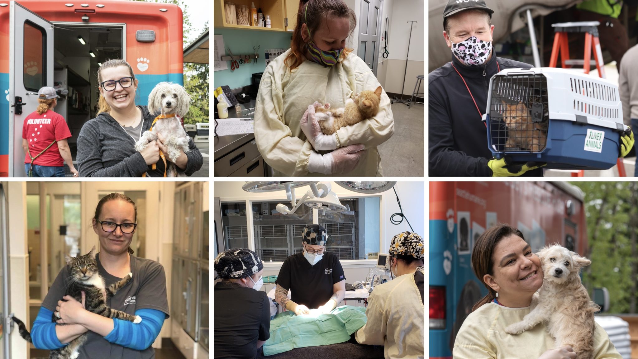 Careers - Seattle Humane