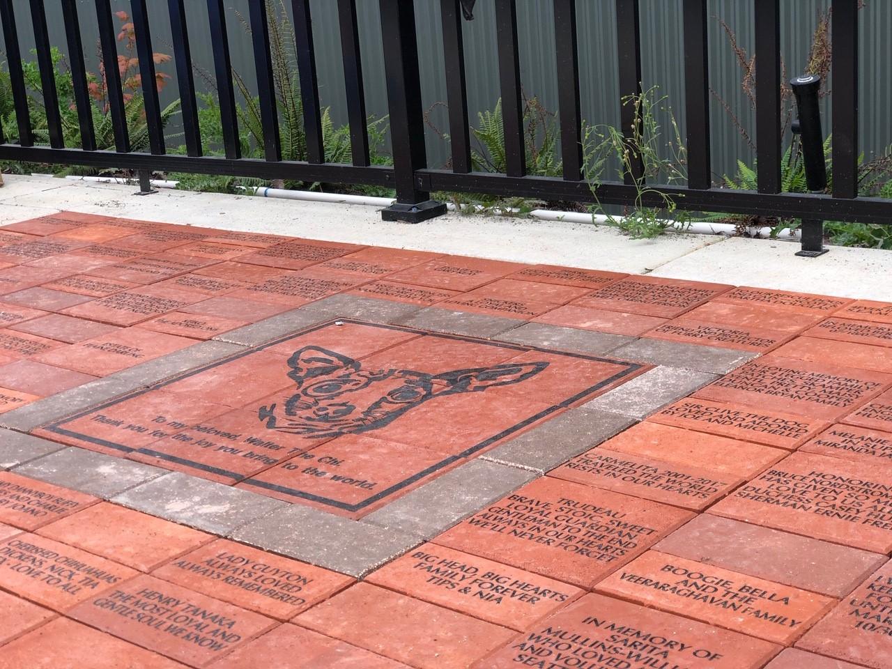 Bricks and Pavers - Seattle Humane
