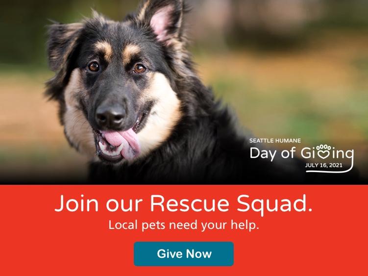 Donate Your Car | Seattle Humane