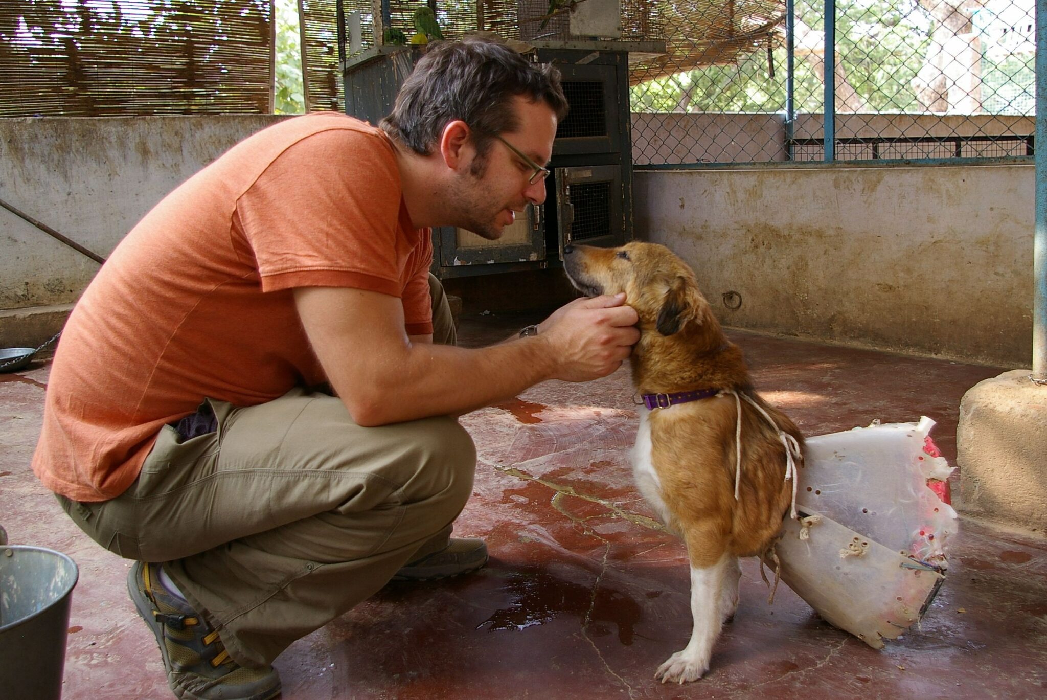 An Unexpected Path to Seattle Humane - Seattle Humane