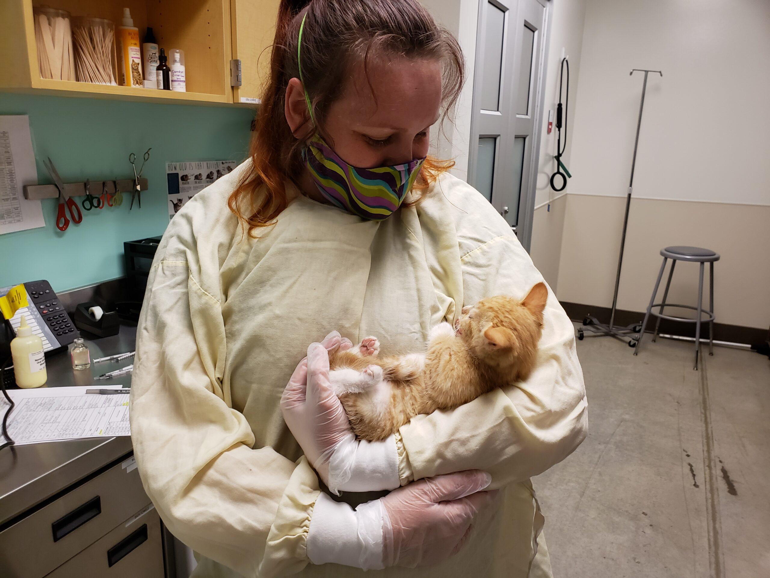 Press Kit - Seattle Humane