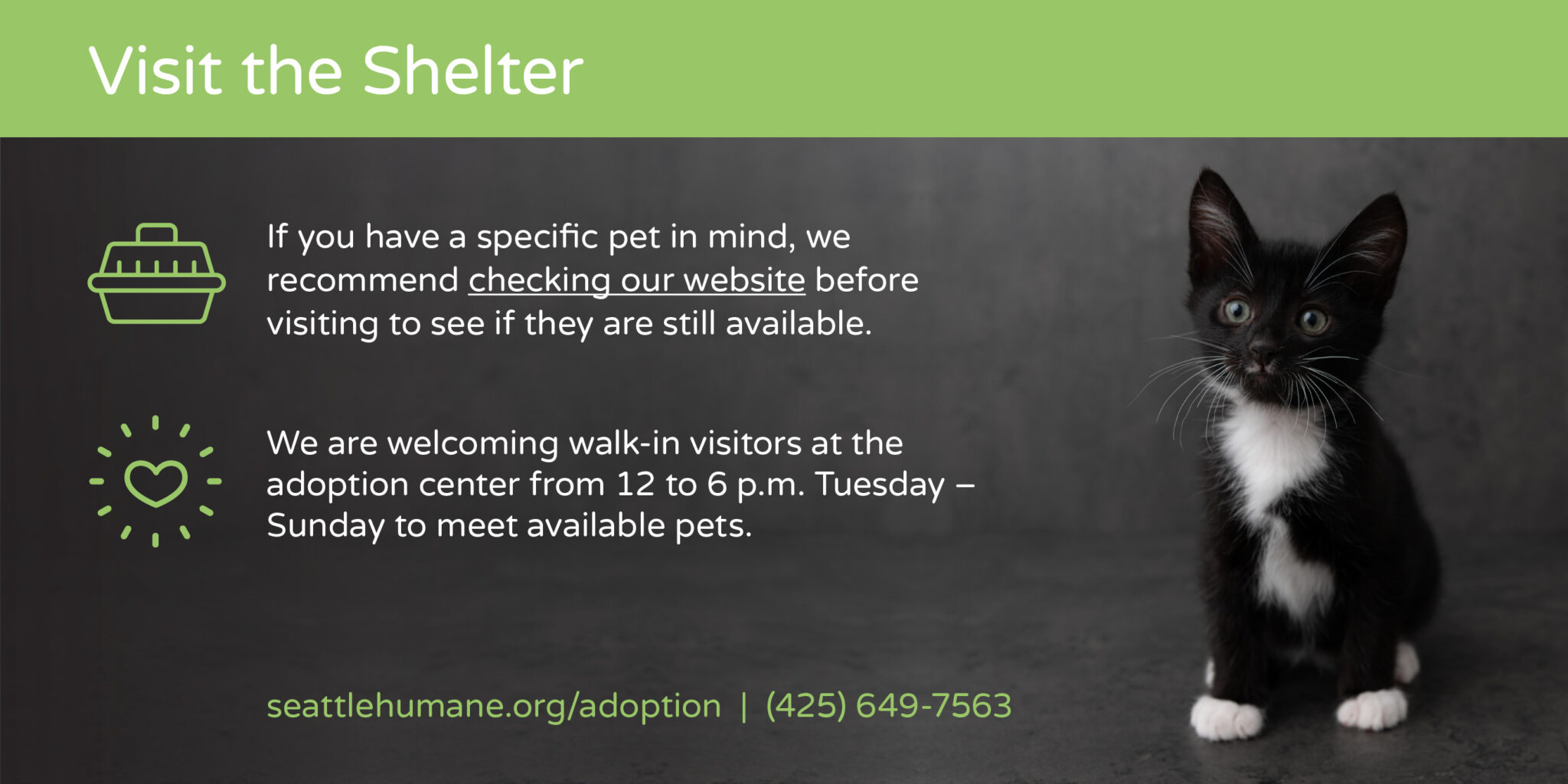 Adoption Process - Seattle Humane