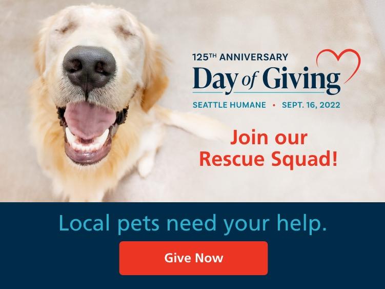 Finding a Passion for Animal Welfare - Seattle Humane