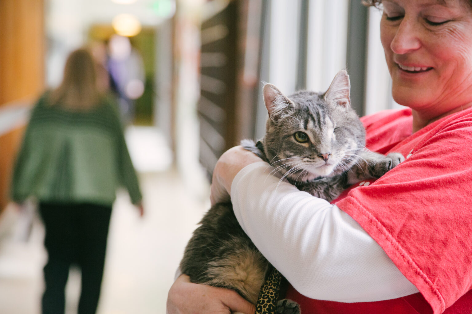 Our Past, Present & Future - Seattle Humane