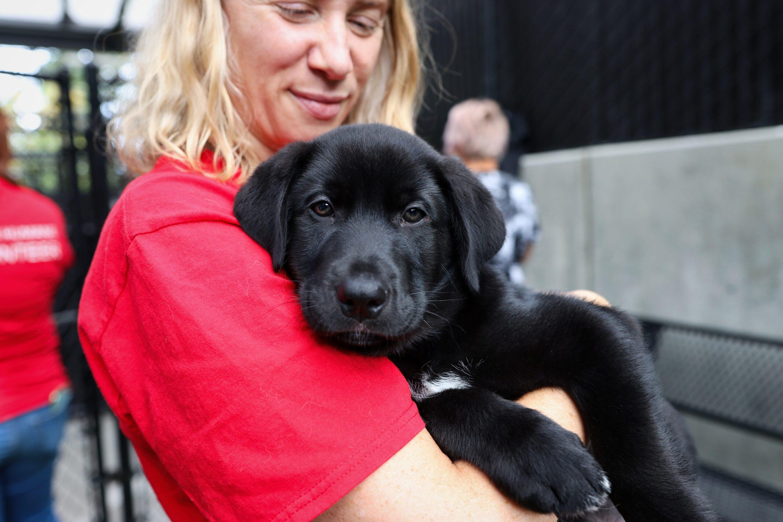 Dog Training Basics Seminar - Seattle Humane