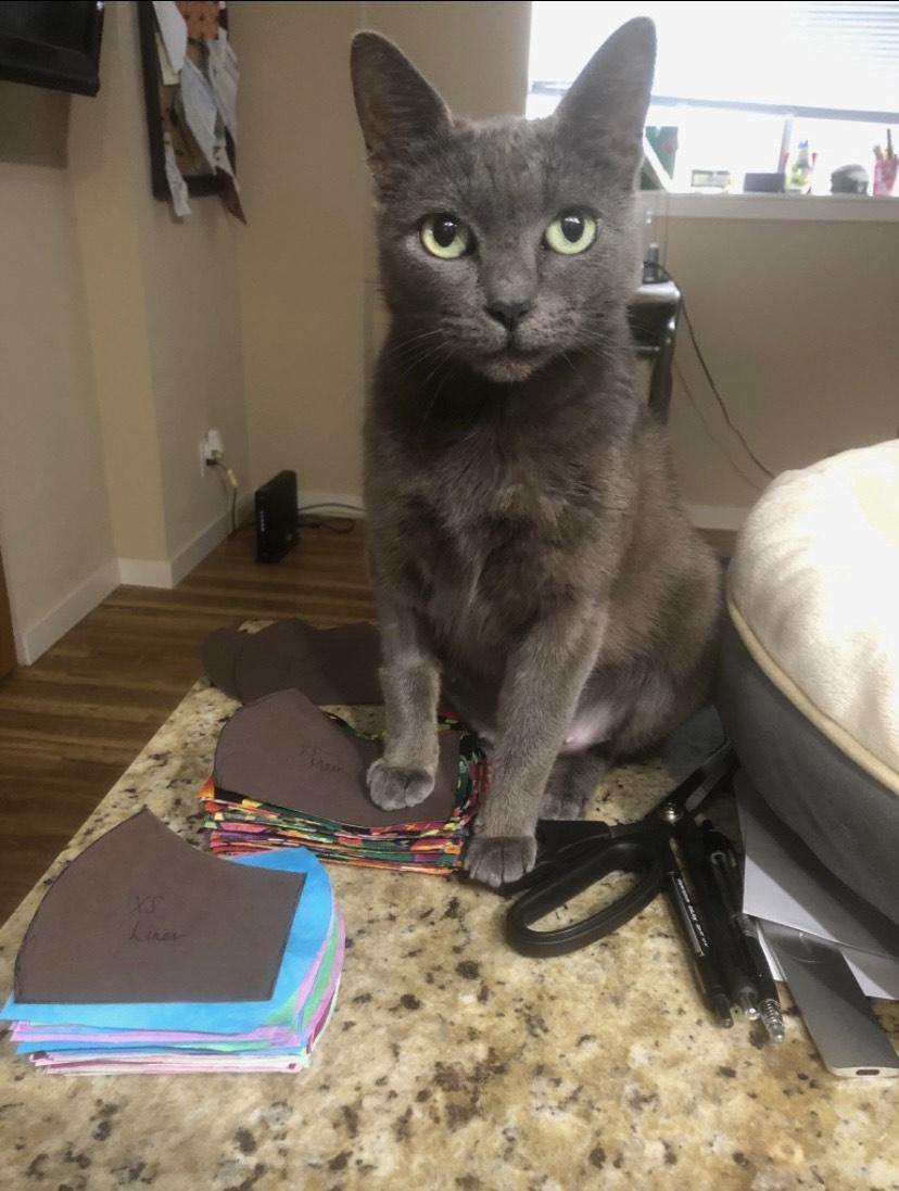 Foster Parent Spotlight: Ashlyn and Mara Konrad - Seattle Humane