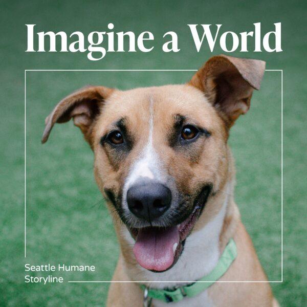 Our Past, Present & Future - Seattle Humane