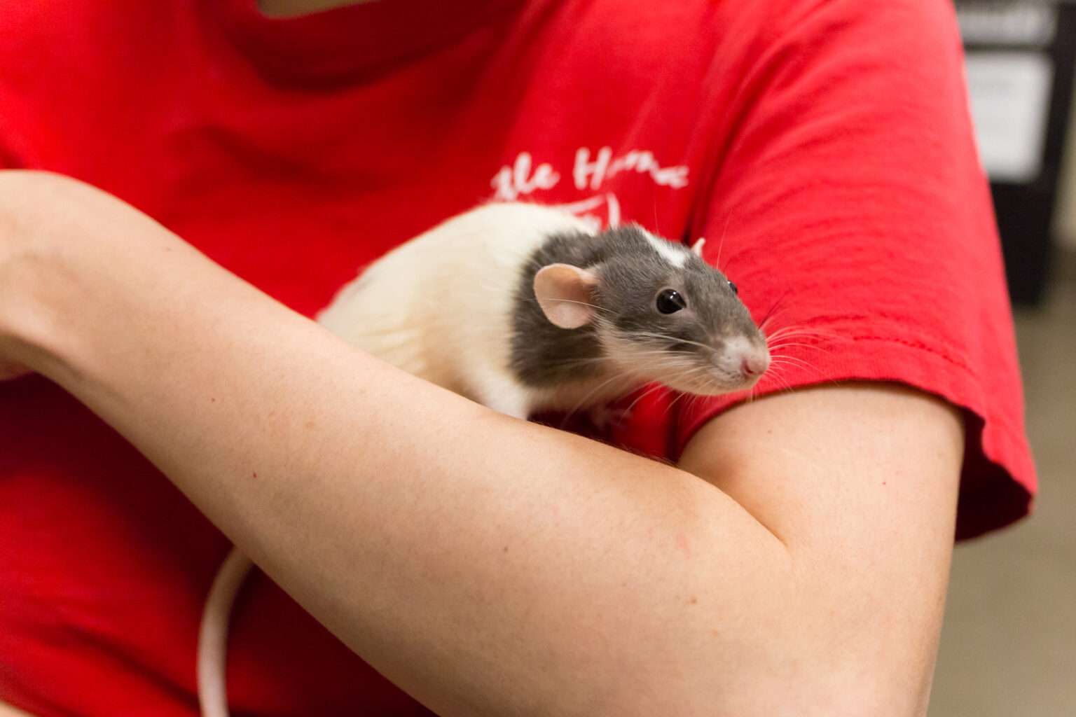 Press Kit - Seattle Humane