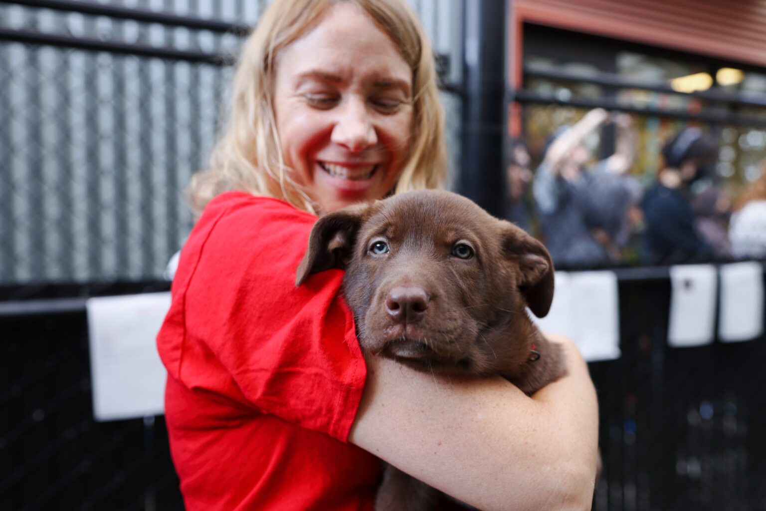 Press Kit - Seattle Humane