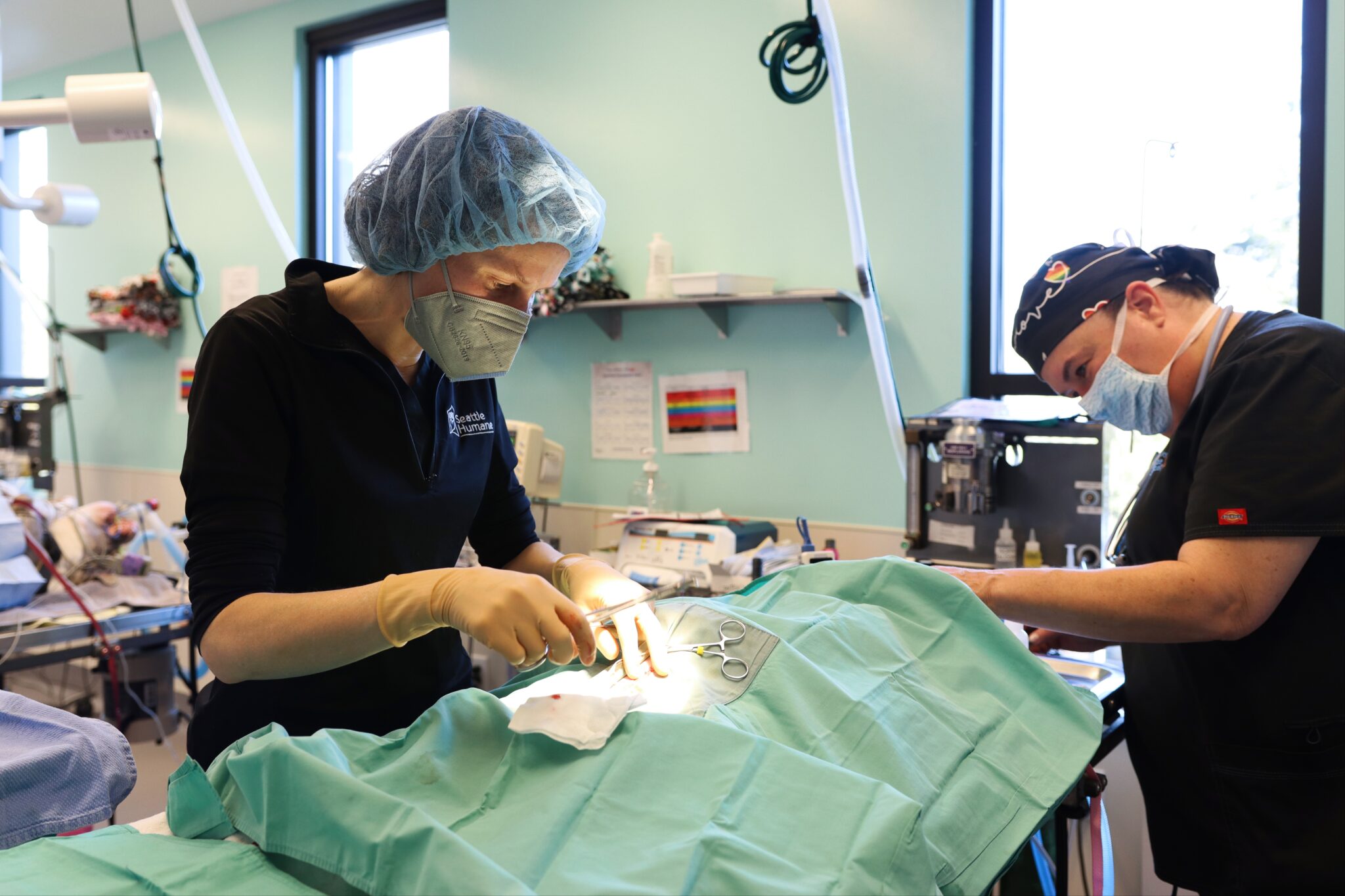 Press Kit - Seattle Humane