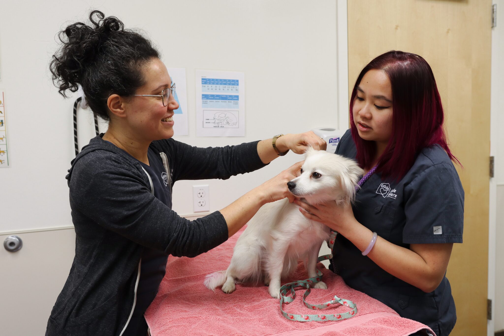 Press Kit - Seattle Humane