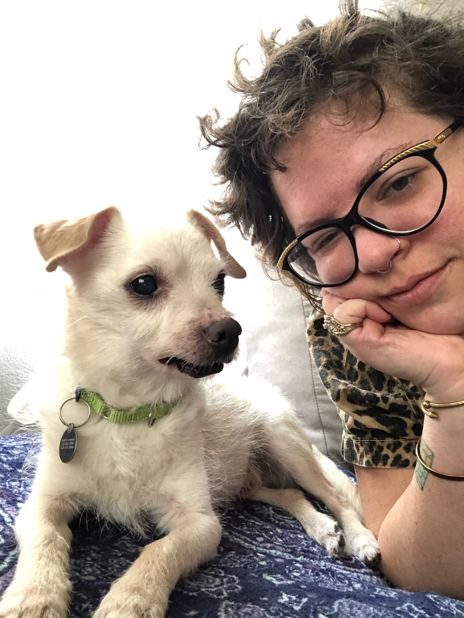 Foster Parent Spotlight: Jess Charlton - Seattle Humane