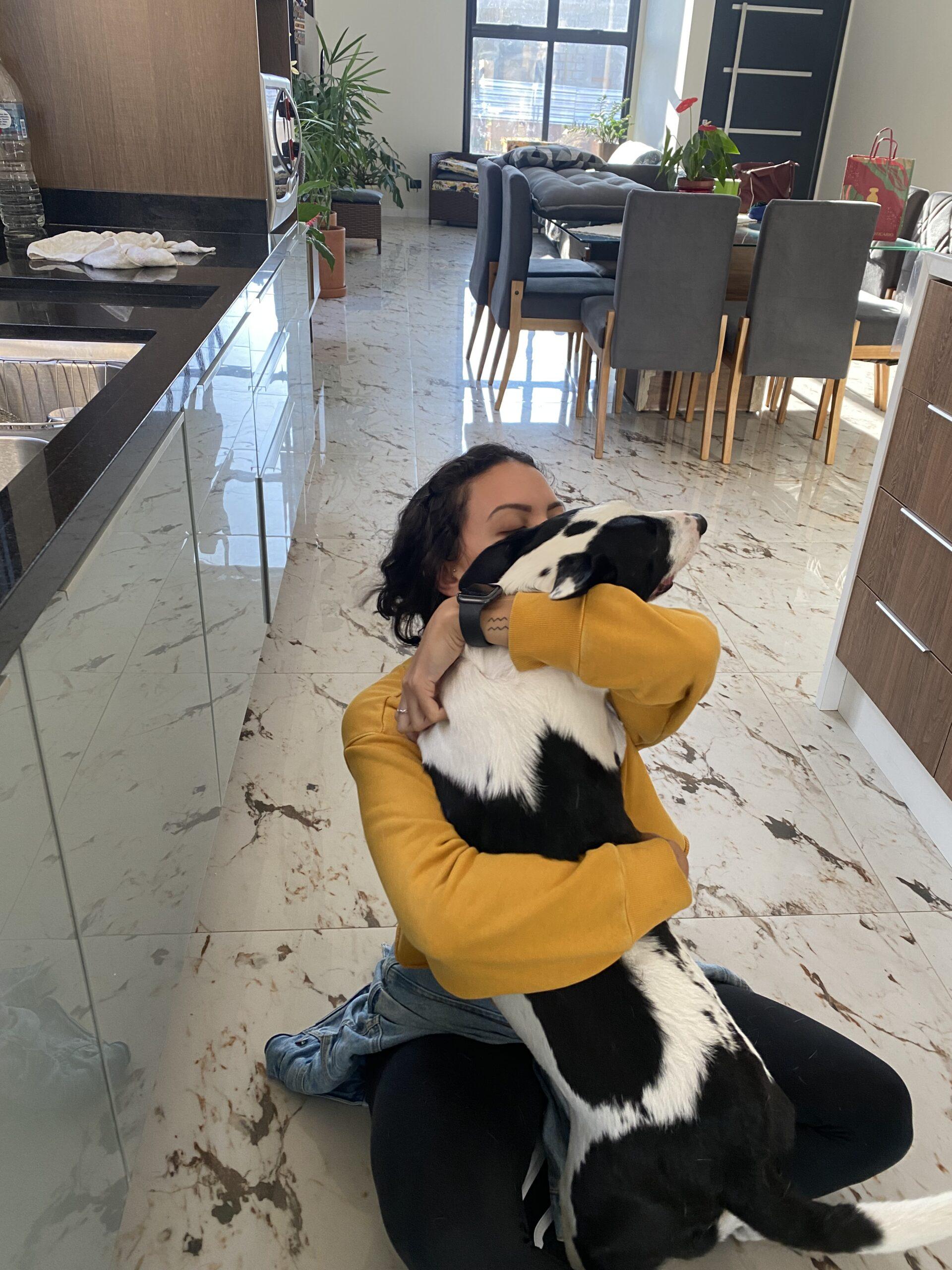 Adoption Update: Kaya - Seattle Humane