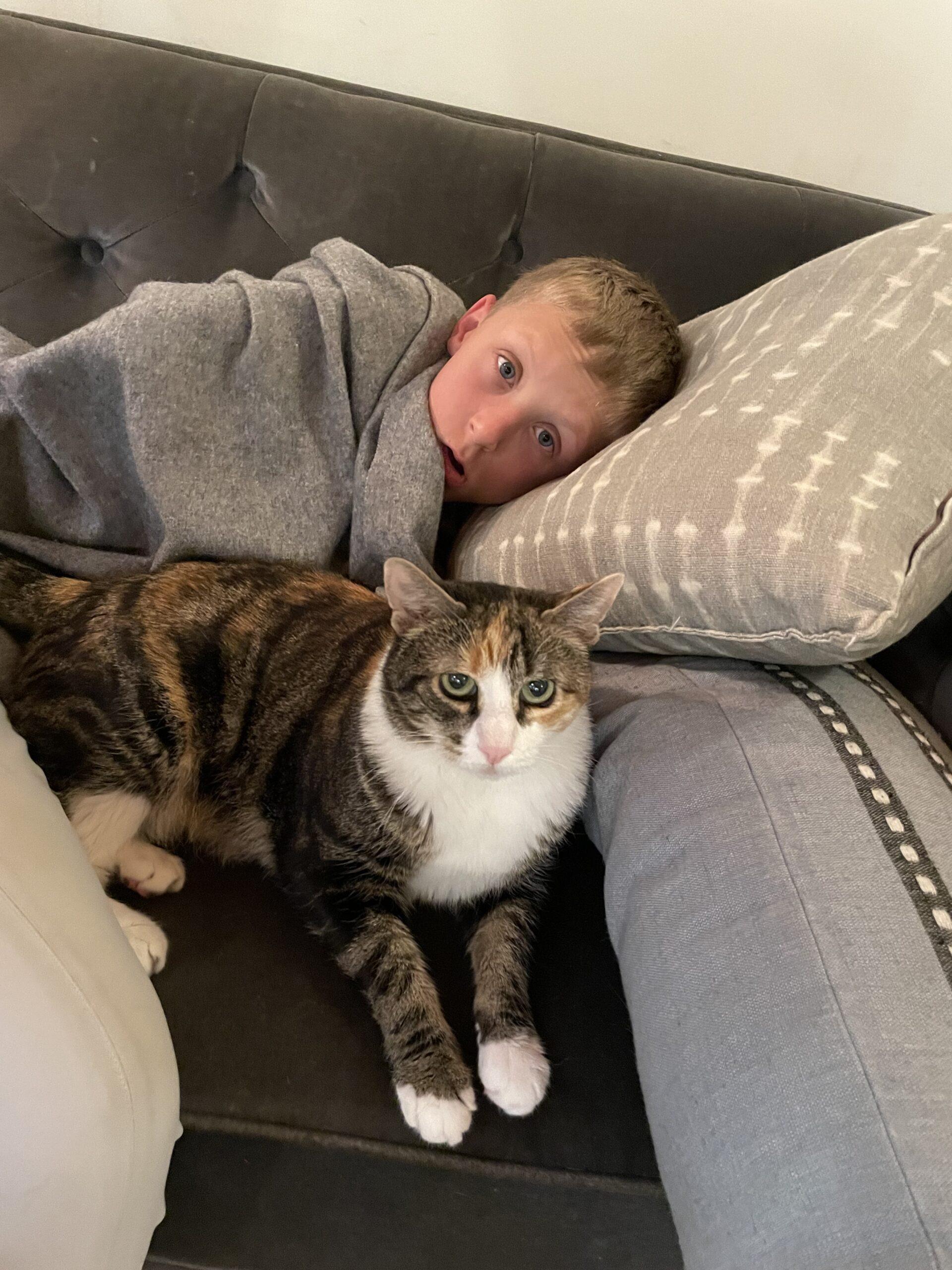 Adoption Update: Sally - Seattle Humane