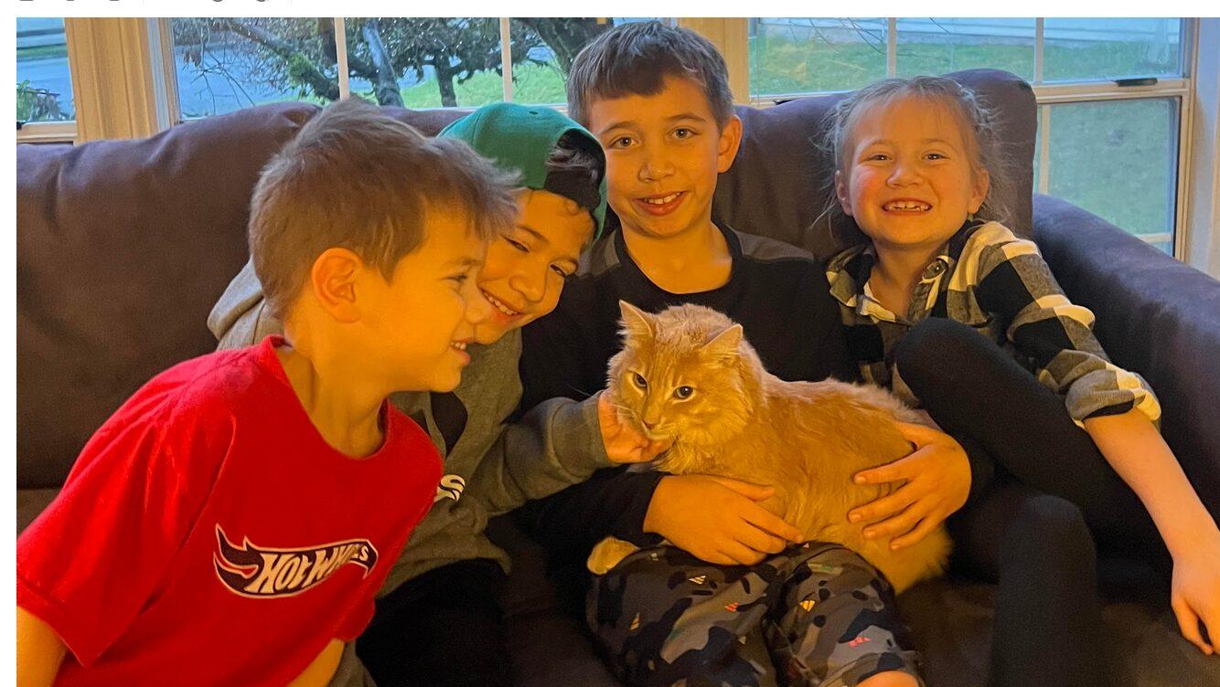 Adoption Update: Mr. Buff - Seattle Humane