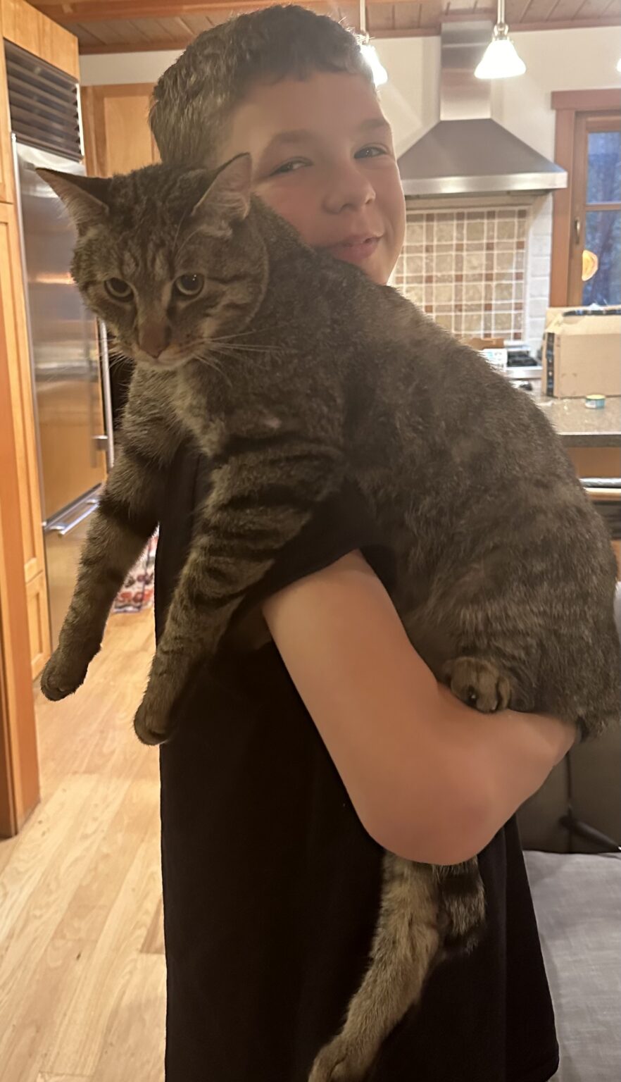 Recently Adopted - Seattle Humane