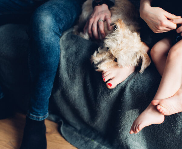 Ways to Give - Seattle Humane