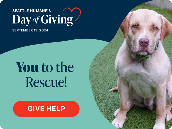 Host a Fundraiser - Seattle Humane