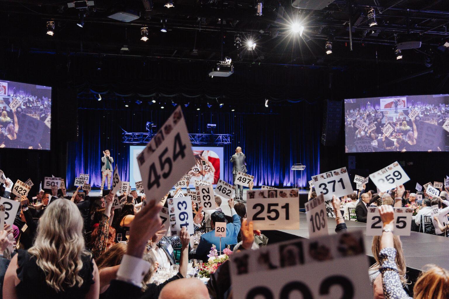 Get Involved - Seattle Humane