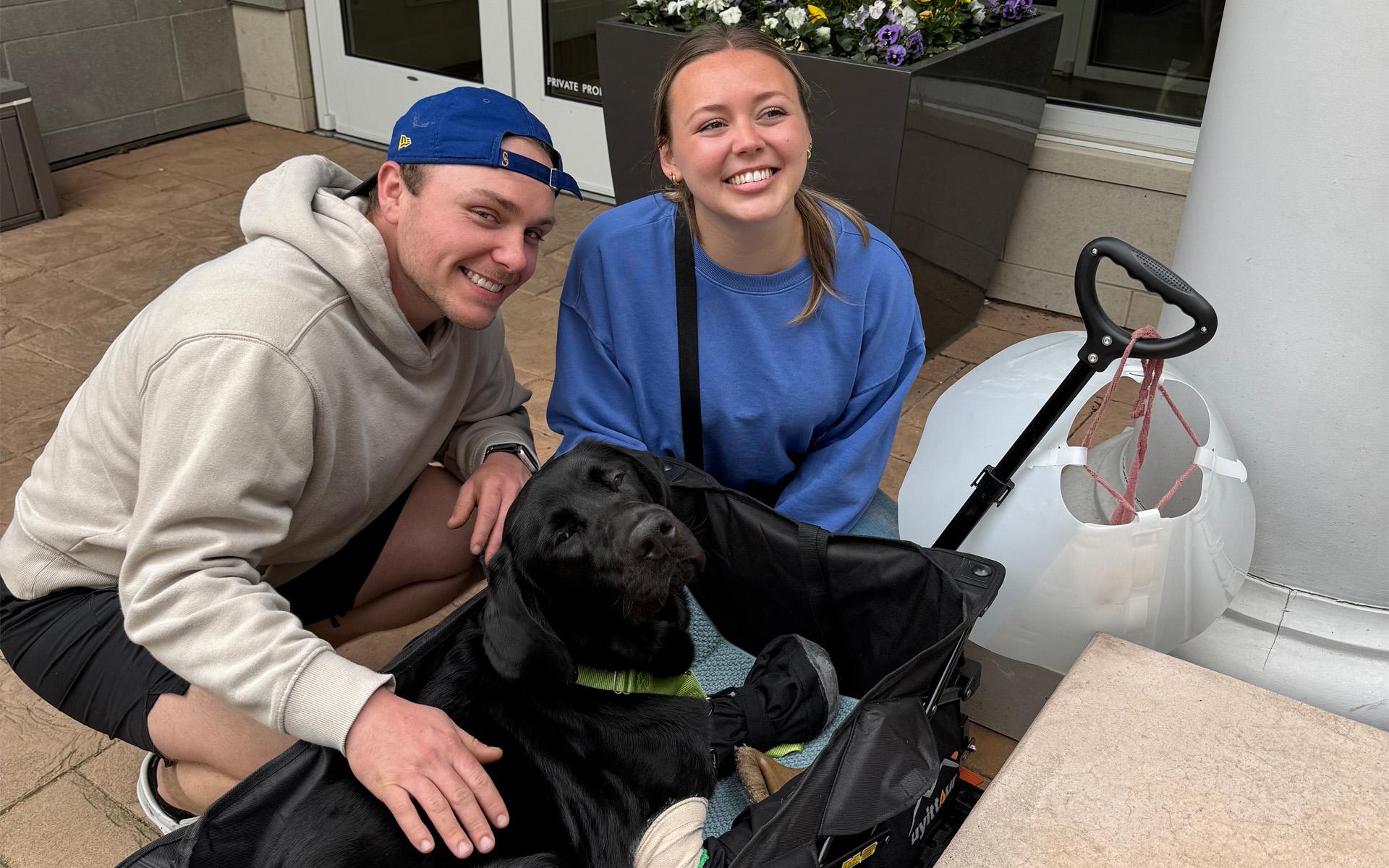 Better Together: Making Fostering A Family Affair - Seattle Humane